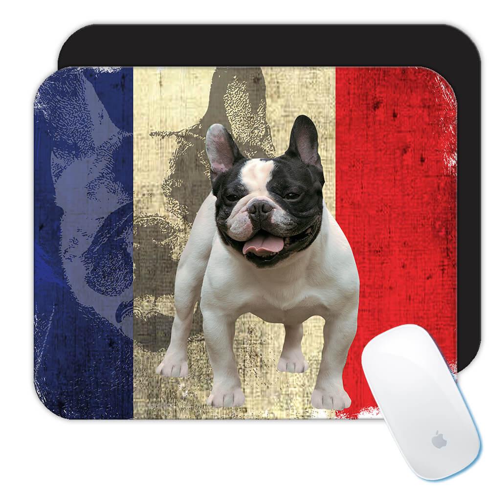 Bulldog Using Computer